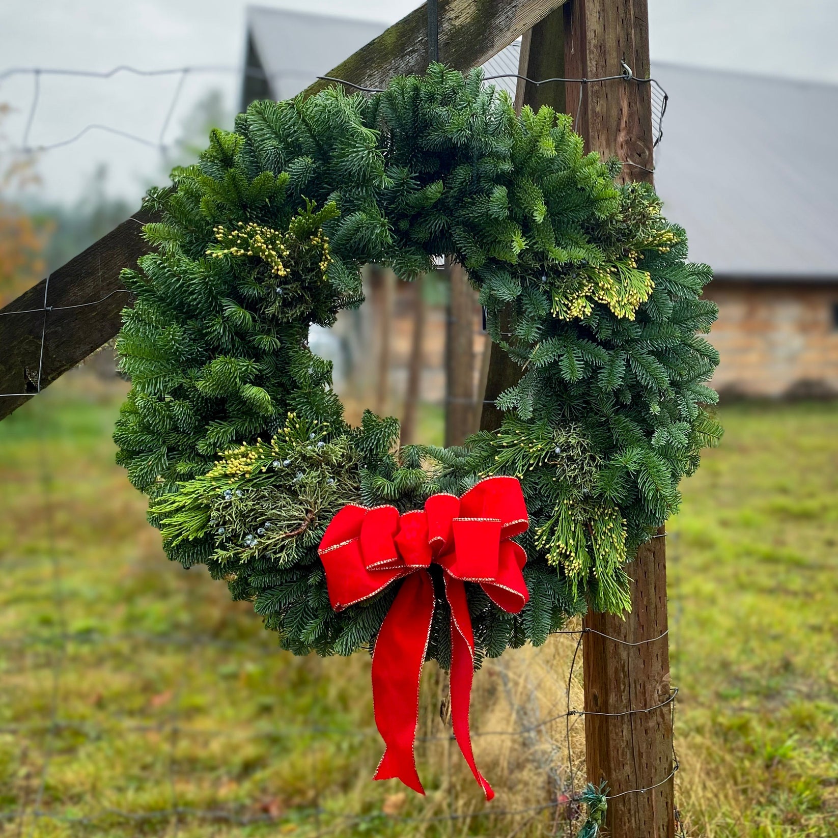 Yuletide Classic 26" Fresh Wreath – WreathCo